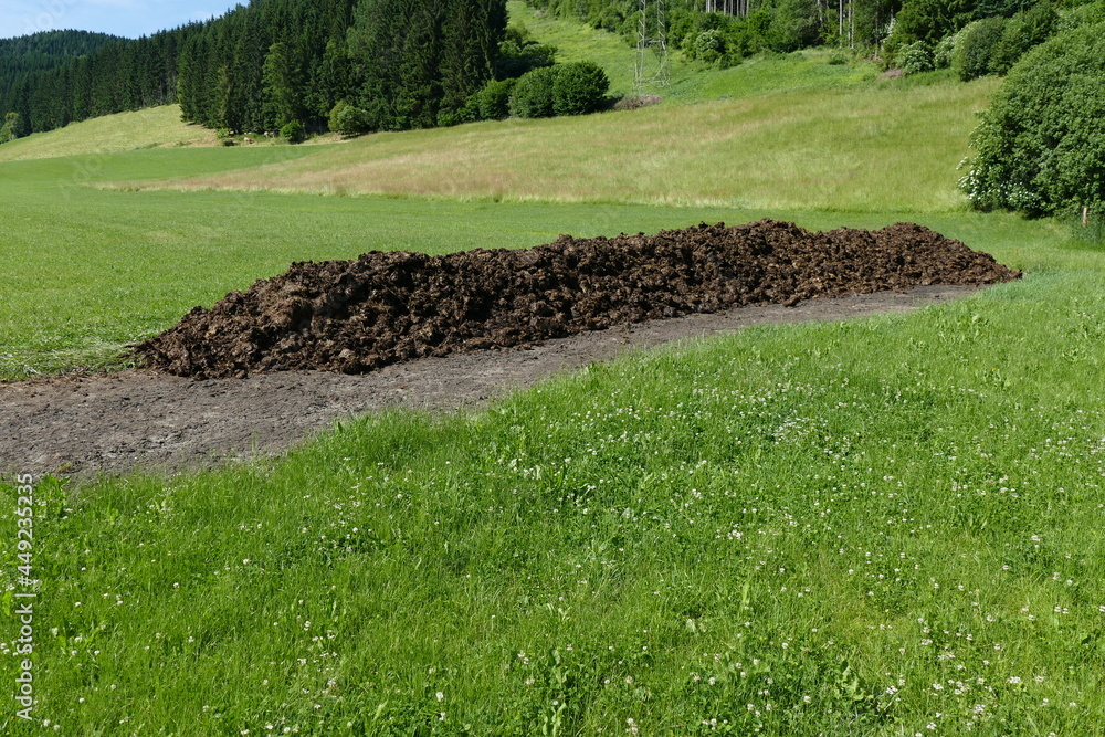 Dried cow dung on the green grass, Compost fertilizer shit for the ...