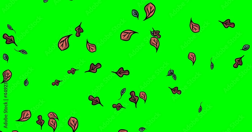 Cartoon leaves falling down on green screen background. 4K animation ...