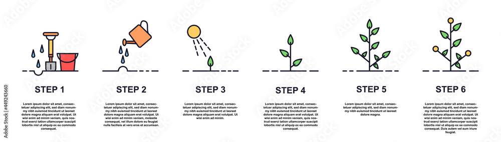 Growing plant stages concept. Seeds, watering step, sprout and flower ...