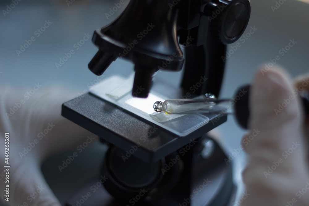 Scientist putting a sample on a microscope slide with a dropper foto de ...