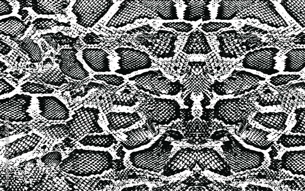 Snake skin texture. Lines and spots structural texture. Cool and artsy ...