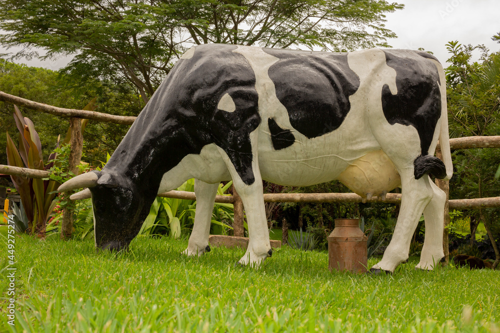 Vaca pinta lechera comiendo pasto en un corral de la granja. Stock ...