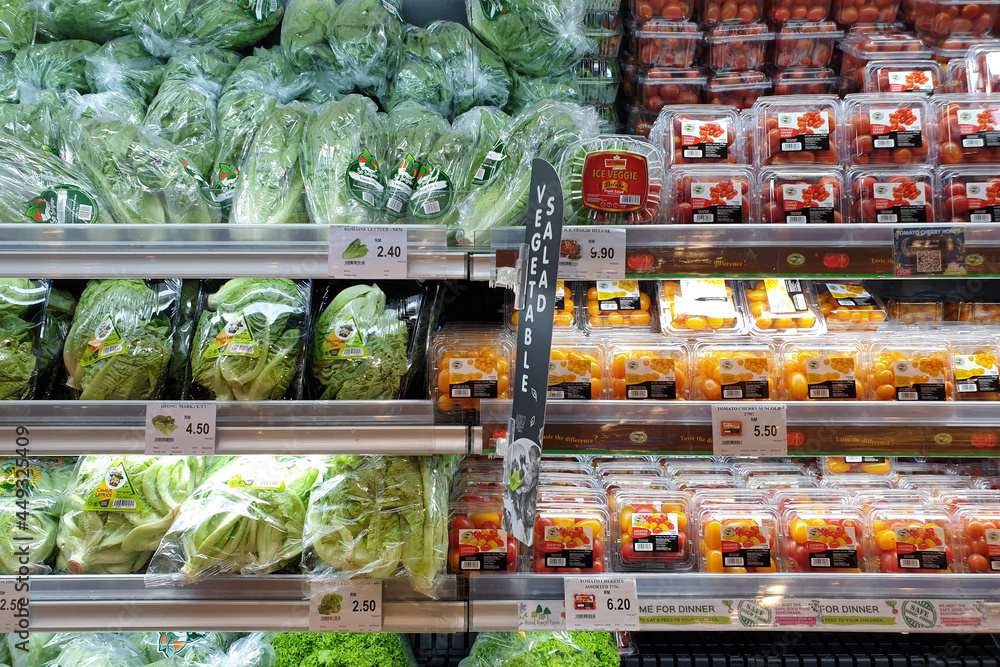 Interior view of the huge open refrigerator with various fresh ...