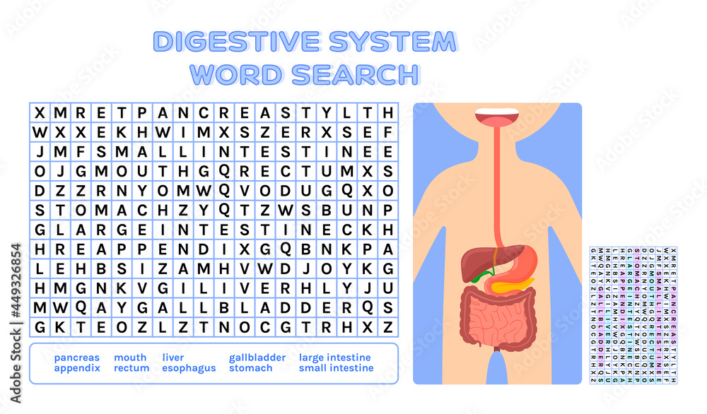 Digestive System Word Search Puzzle for Children. Education ...