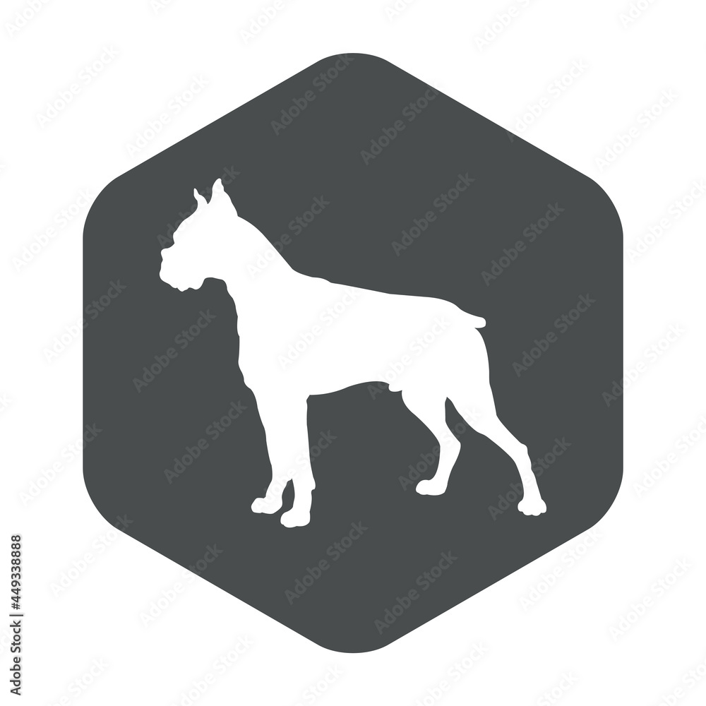 Razas de perro. Silueta de perro boxer en hexágono de color gris Stock ...