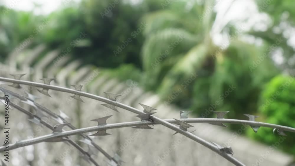 Barbed wire in spiral rows near a solid metal bar fence with Arabic ...