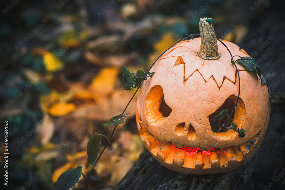 Spooky Leaves Halloween