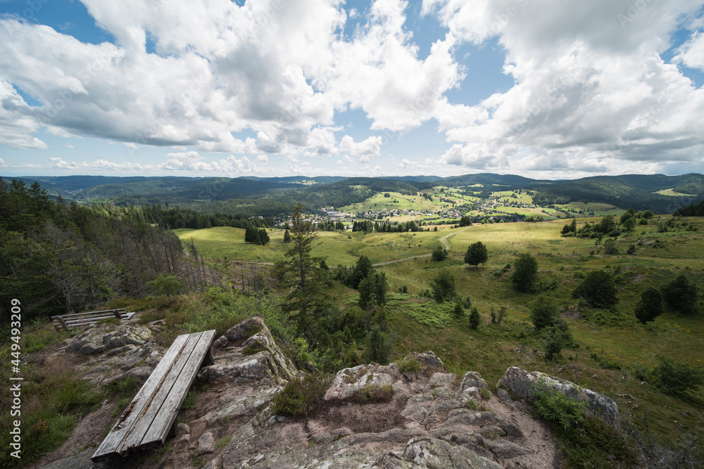 nature landscape in summer in southern germany near bernau in the black ...
