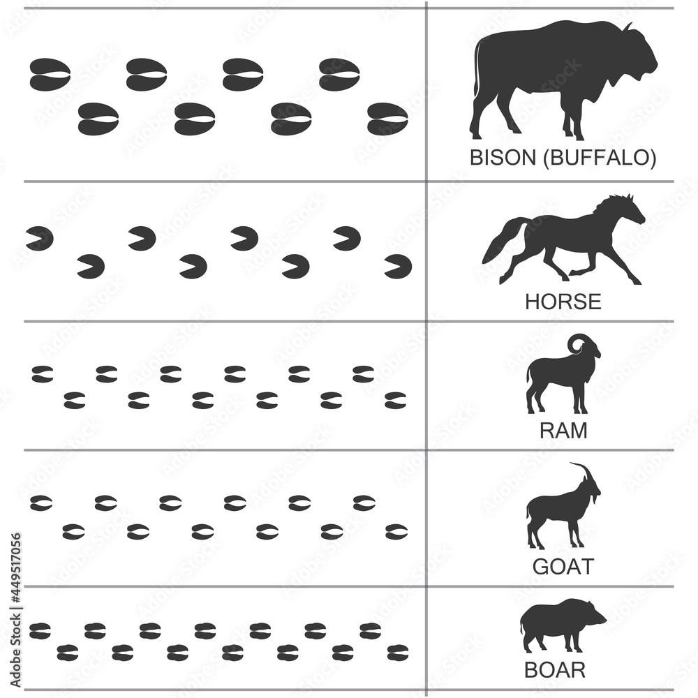 Silhouettes and footprints of hoofed mammals of North America and ...