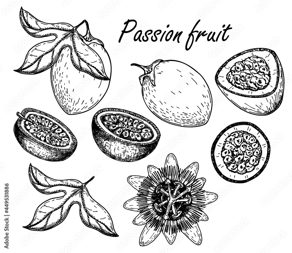 Vecteur Stock Passion fruit vector drawing set. Hand drawn tropical food illustration. Engraved ...