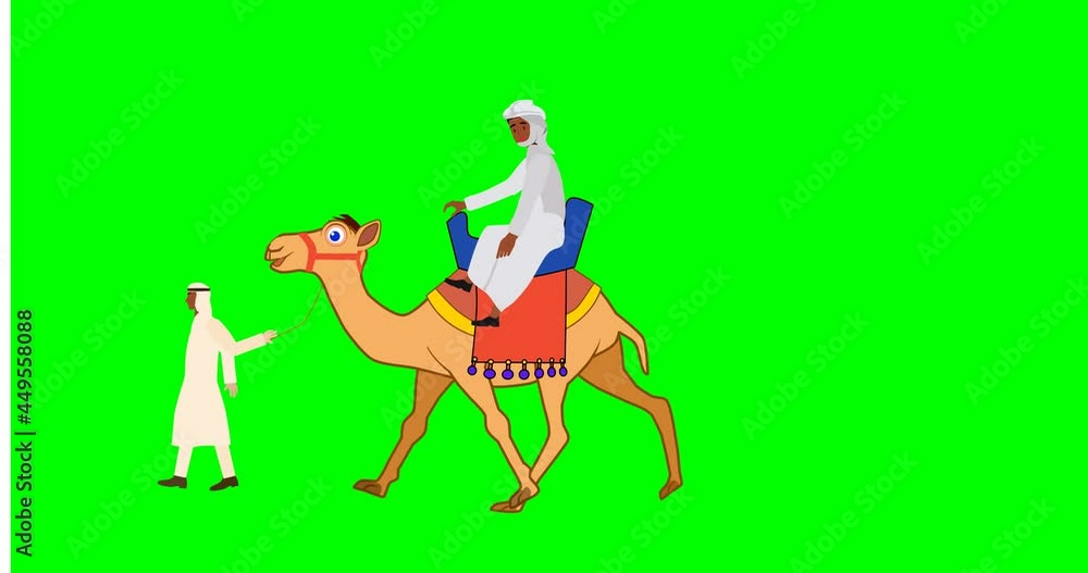 Tourist sitts on the camel, 2d loop animation, walk cycle, green screen ...