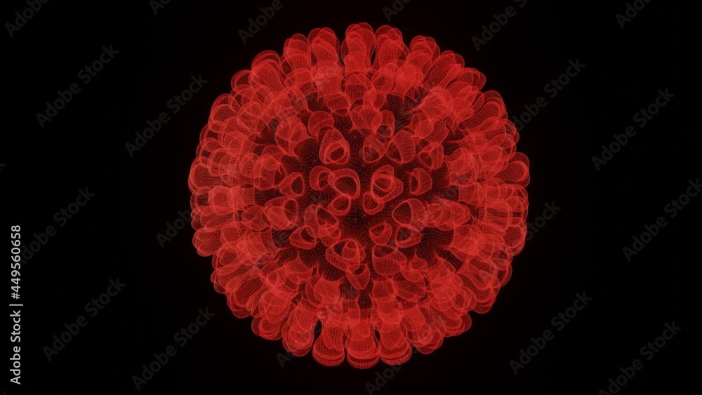 rotating 3D model of the coronavirus wireframe on a black background ...