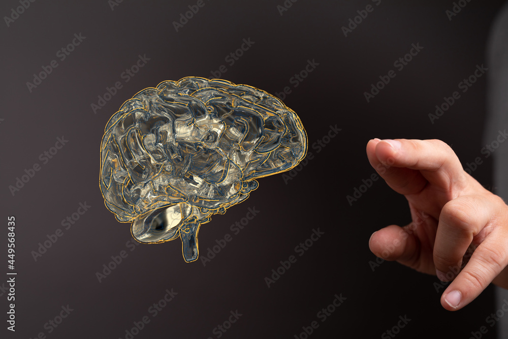 Human brain activity with plexus lines.. External cerebral connections ...