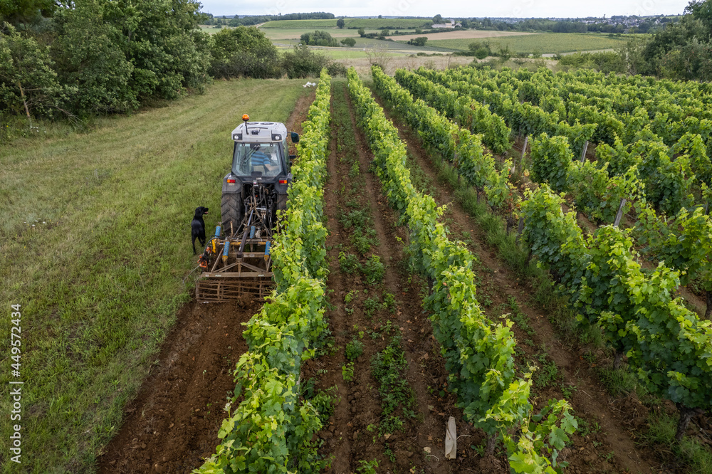 Photo aérienne d'un tracteur qui réalise le travail des sols dans les ...