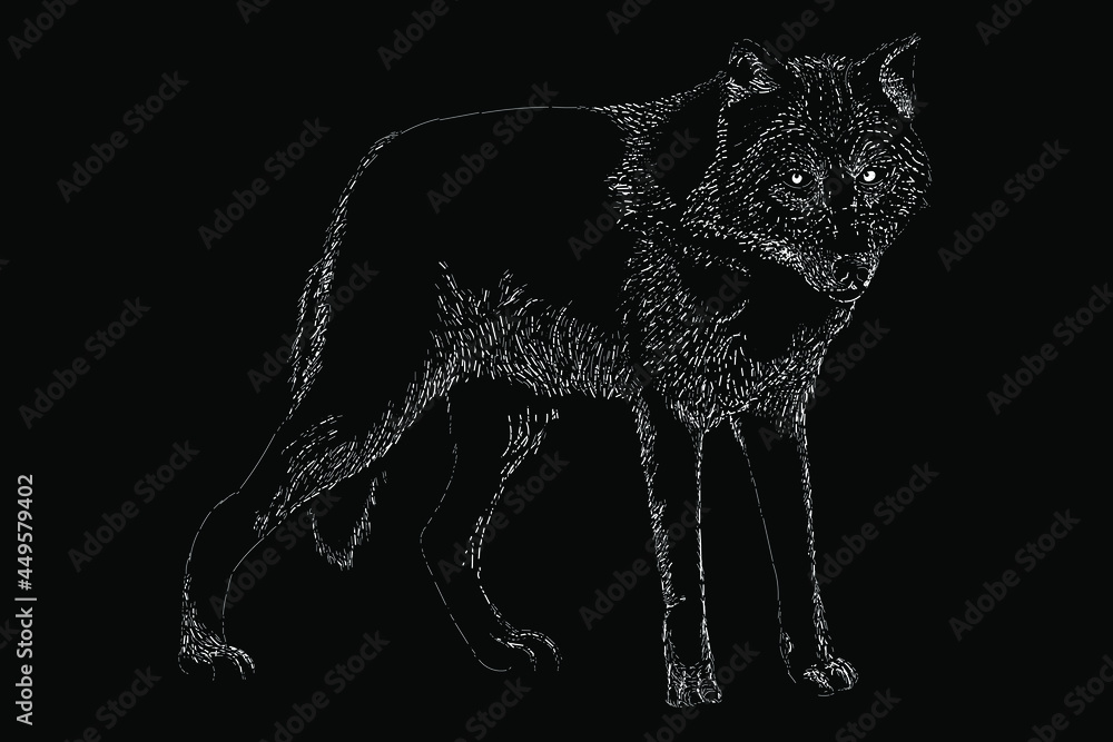 grey wolf scratch vector hand drawing illustration. vector isolated ...