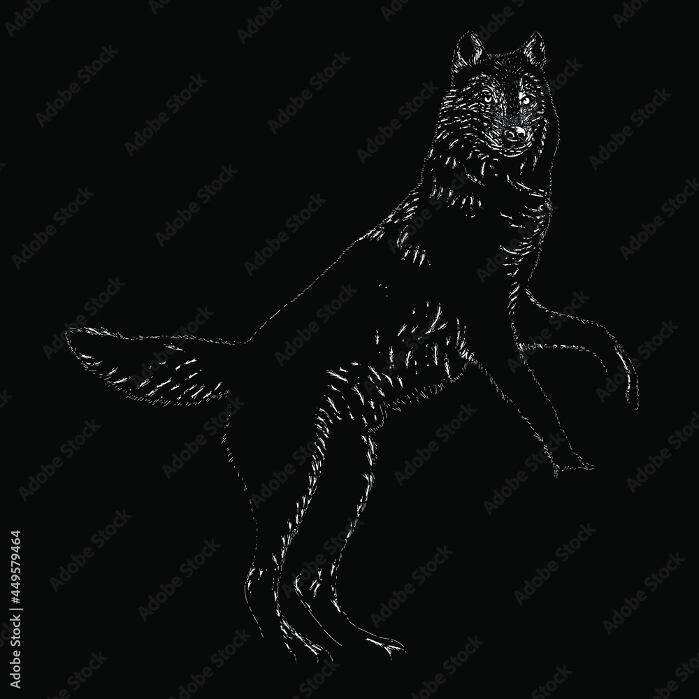 grey wolf scratch vector hand drawing illustration. vector isolated ...