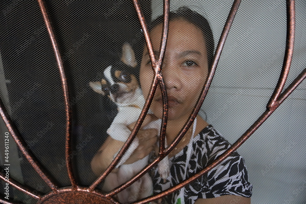 cute faces of dogs and their owners behind screen doors upon arrival of ...