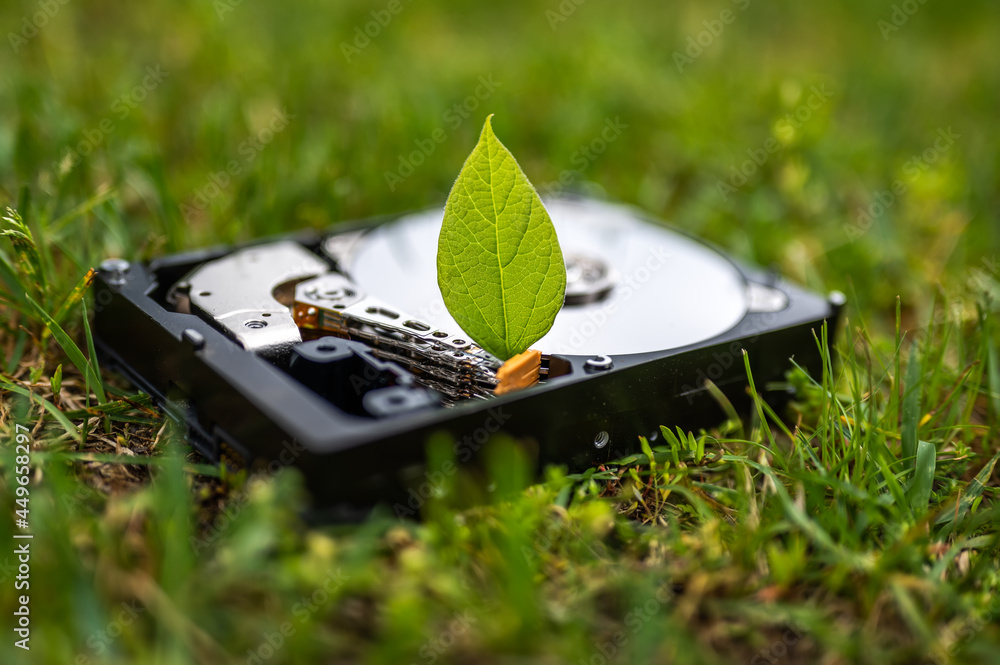 Hard disk drive with a chia leaf on the grass Stock Photo | Adobe Stock