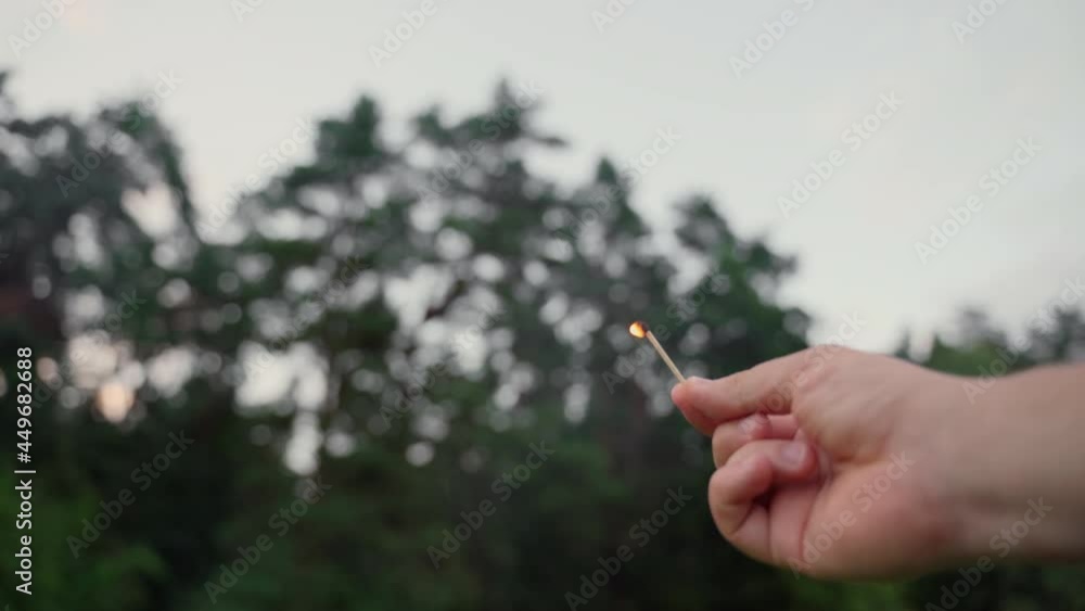 Problem of forests fires around the world. Forests protection. Man ...