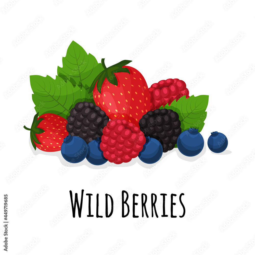 Wild Blueberries Clip Art