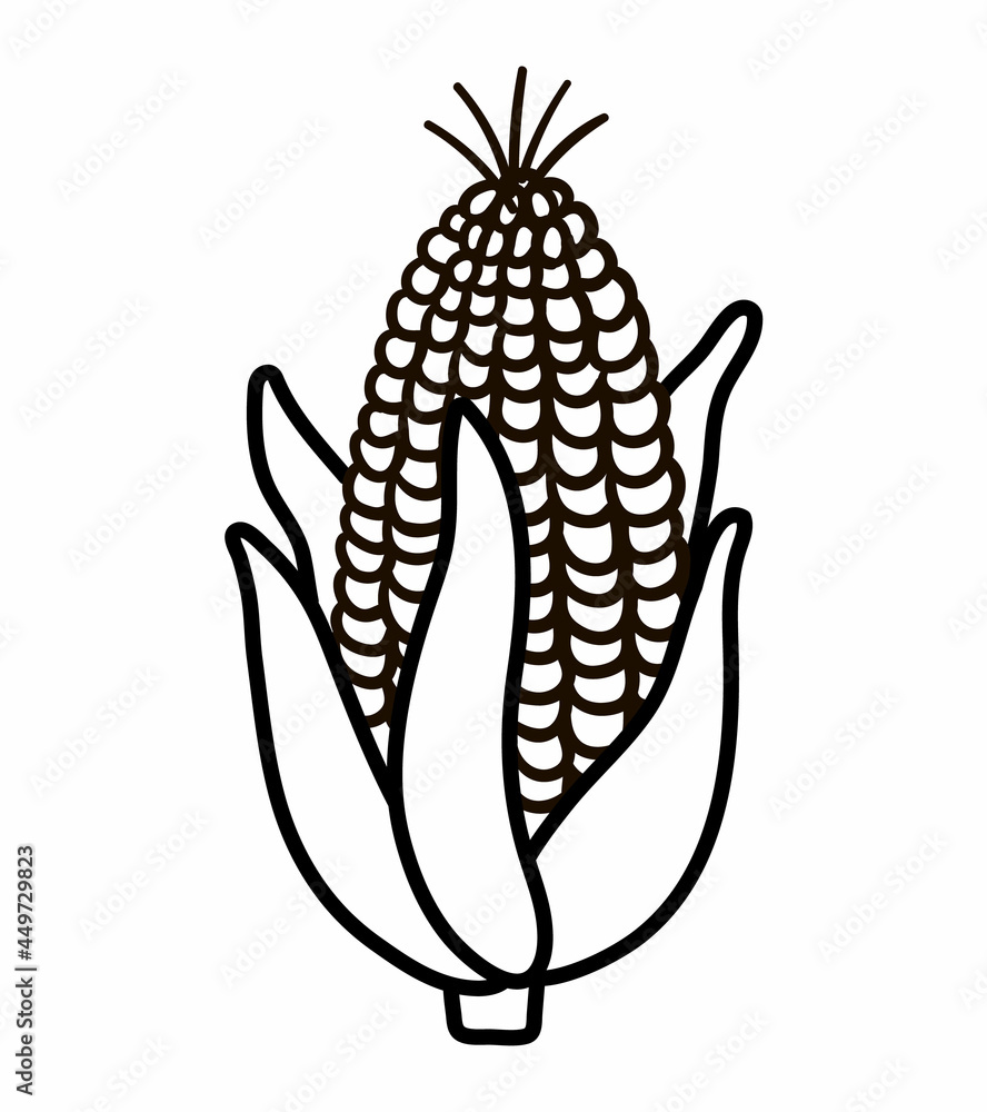 Vector black and white corn cob. Autumn outline vegetable. Line veggie. Funny illustration ...