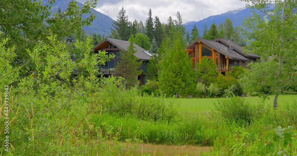 Establishing shot. Neighbourhood of luxury houses with big trees and ...