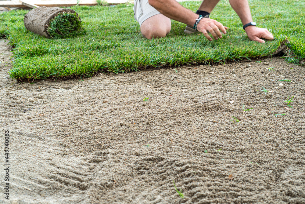 Gardener laying sod for the new lawn..Natural grass installation.Laying ...