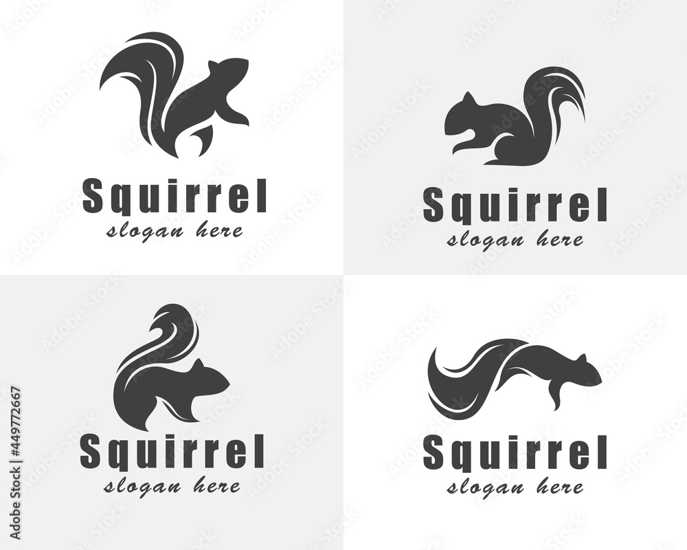 squirrel logo creative set black vector design template Stock Vector ...