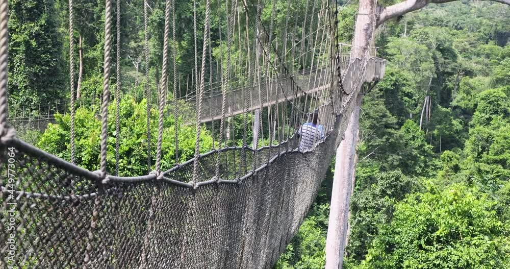 Woman Man Rope bridge in rainforest jungle Cape Coast Ghana Africa ...