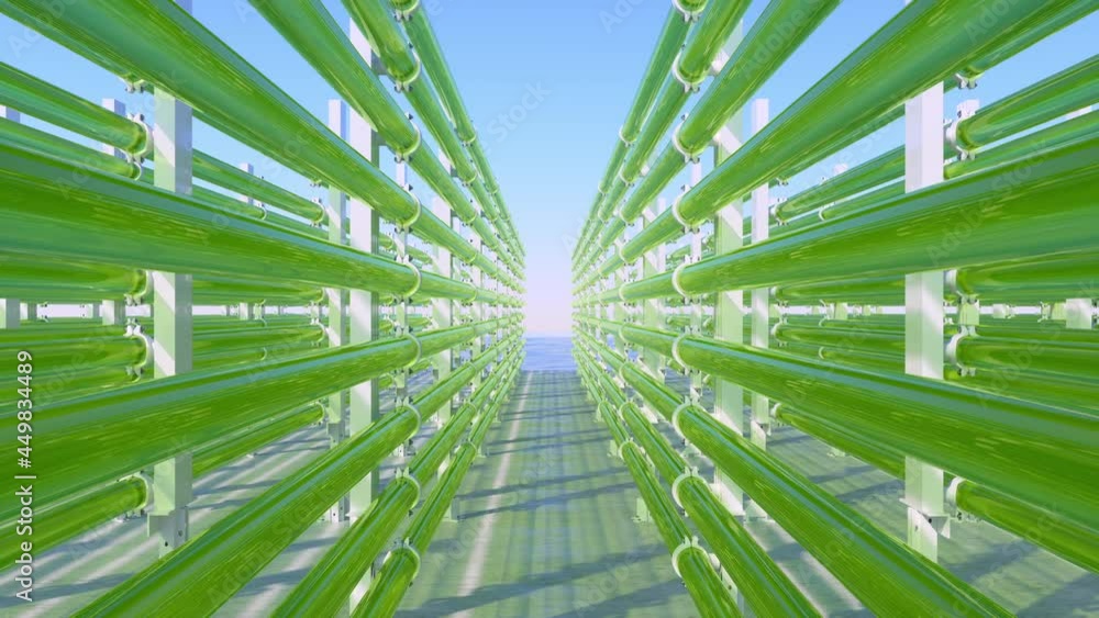 Tubular Algae Bioreactors Fixing CO2 To Produce Biofuel As An ...