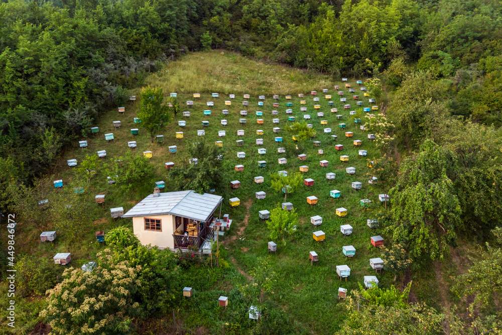 Aerial shot.A bee apiary with a group of hives is located in the forest ...