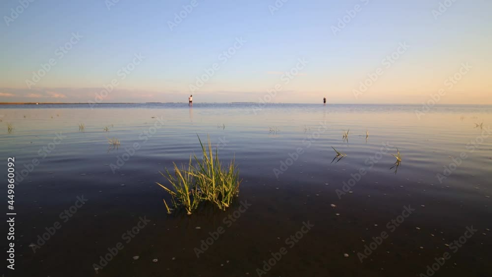 People wade in shallow water at low tide in sea Stock ビデオ | Adobe Stock