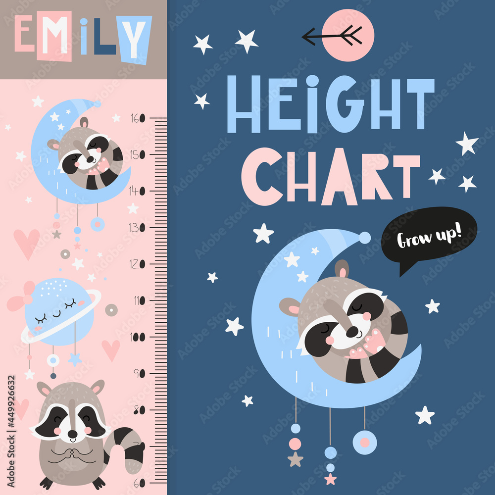 Kids height scale with cute little raccoon. Heights for school ...