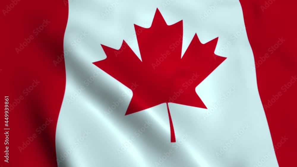 realistic beautiful flag of canada waving in the wind national in a ...