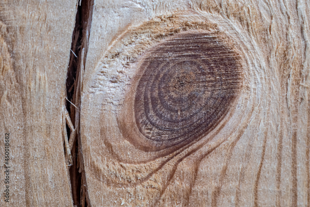 Beautiful texture of a tree with a knot in the section, taken close-up ...