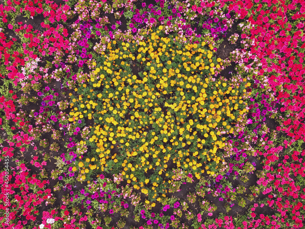Flower Bed Texture