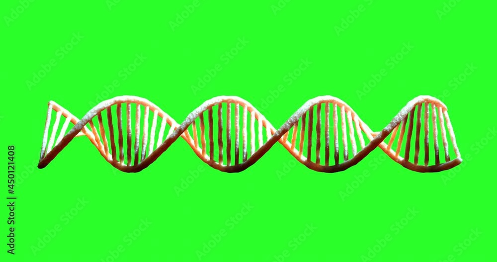 Realistic DNA 3D animation Green screen Chroma key. Rotating DNA double ...