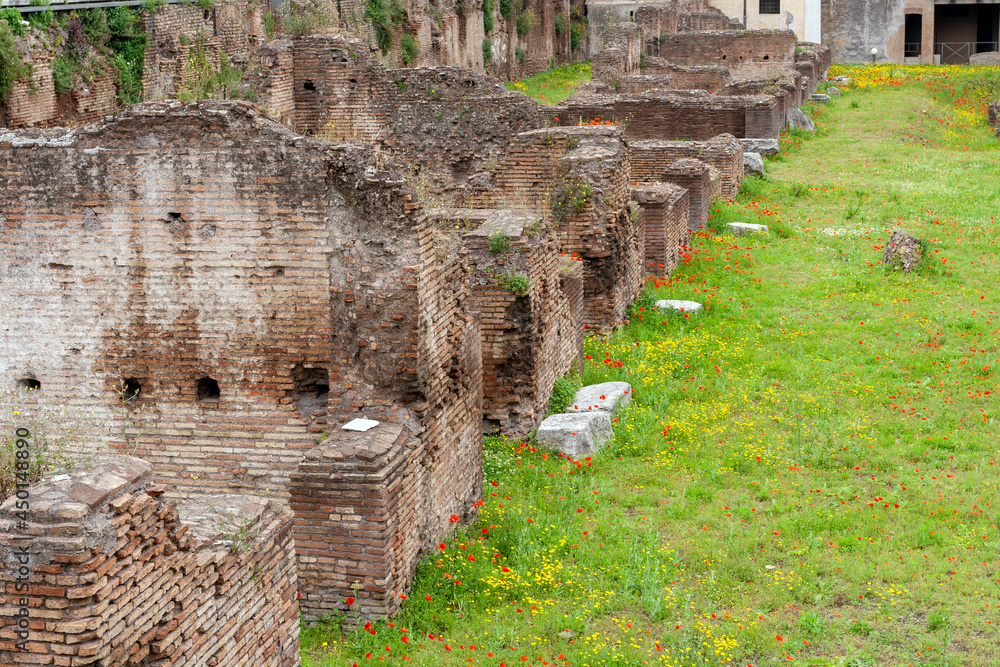 Ruins of the Ludus Magnus in Rome Stock Photo | Adobe Stock