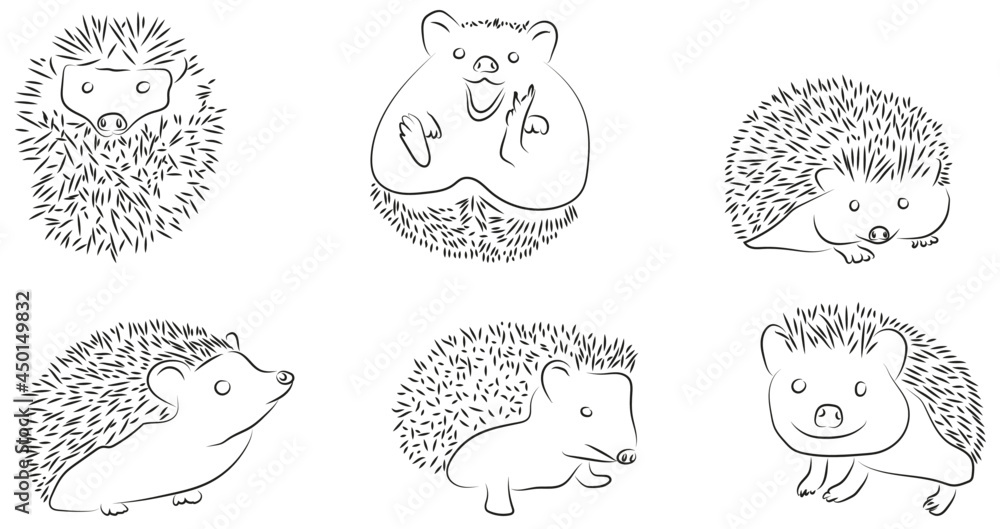 Igel Hedgehog Konturen Zeichnungen Vektor Grafik Handgezeichnet Stock ...