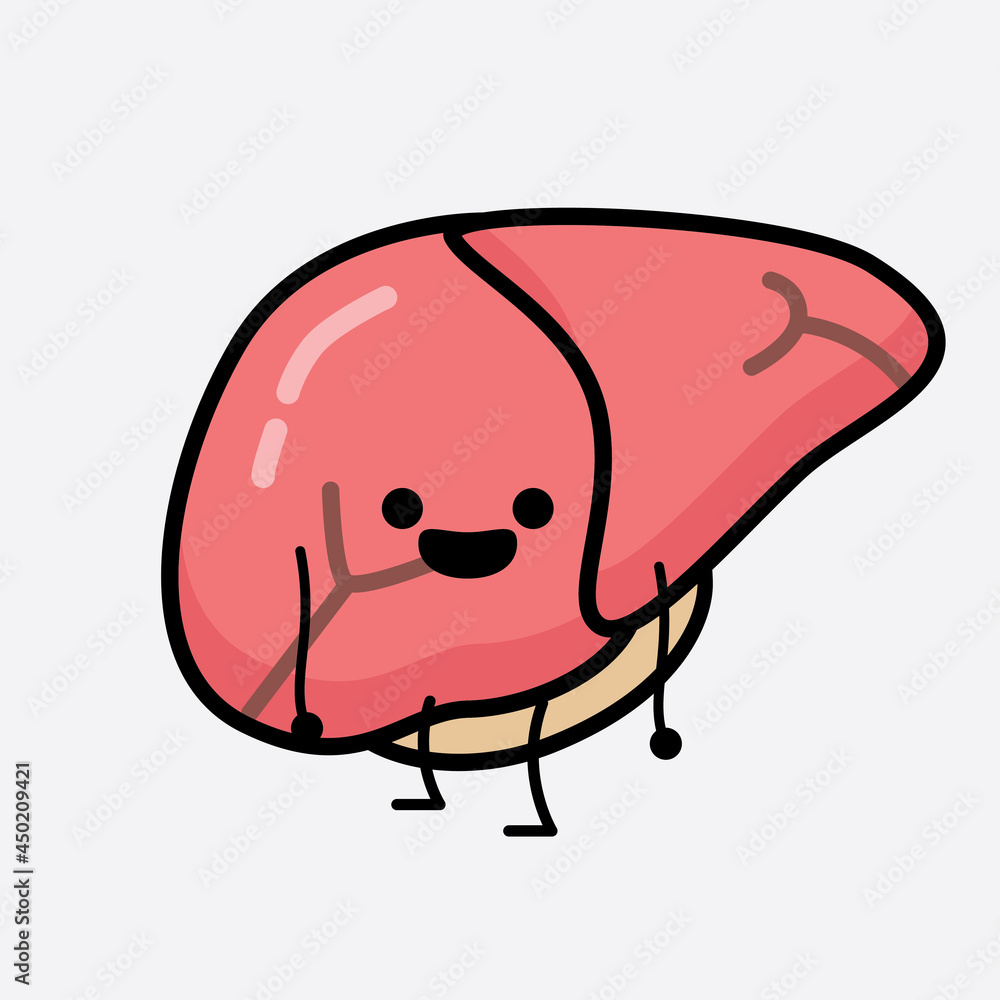 Vector Illustration of Liver Character with cute face and simple body ...