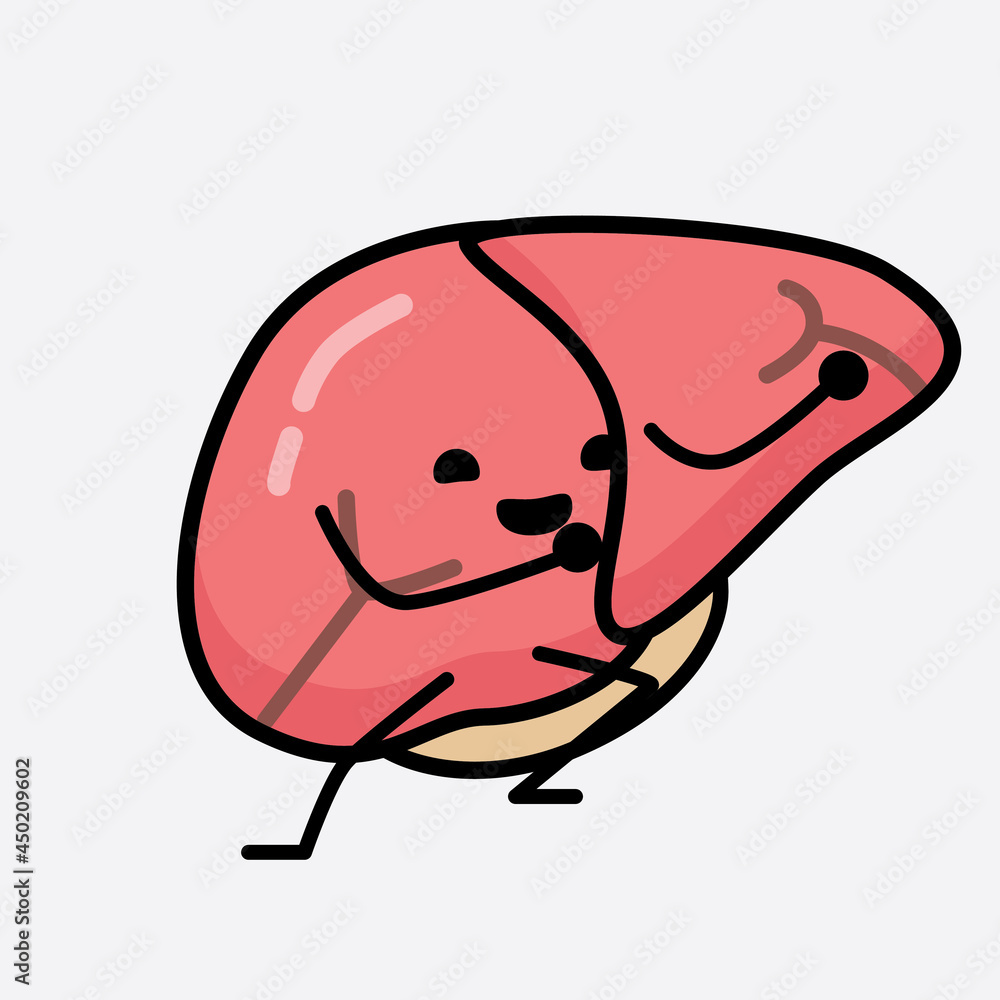Vector Illustration of Liver Character with cute face and simple body ...