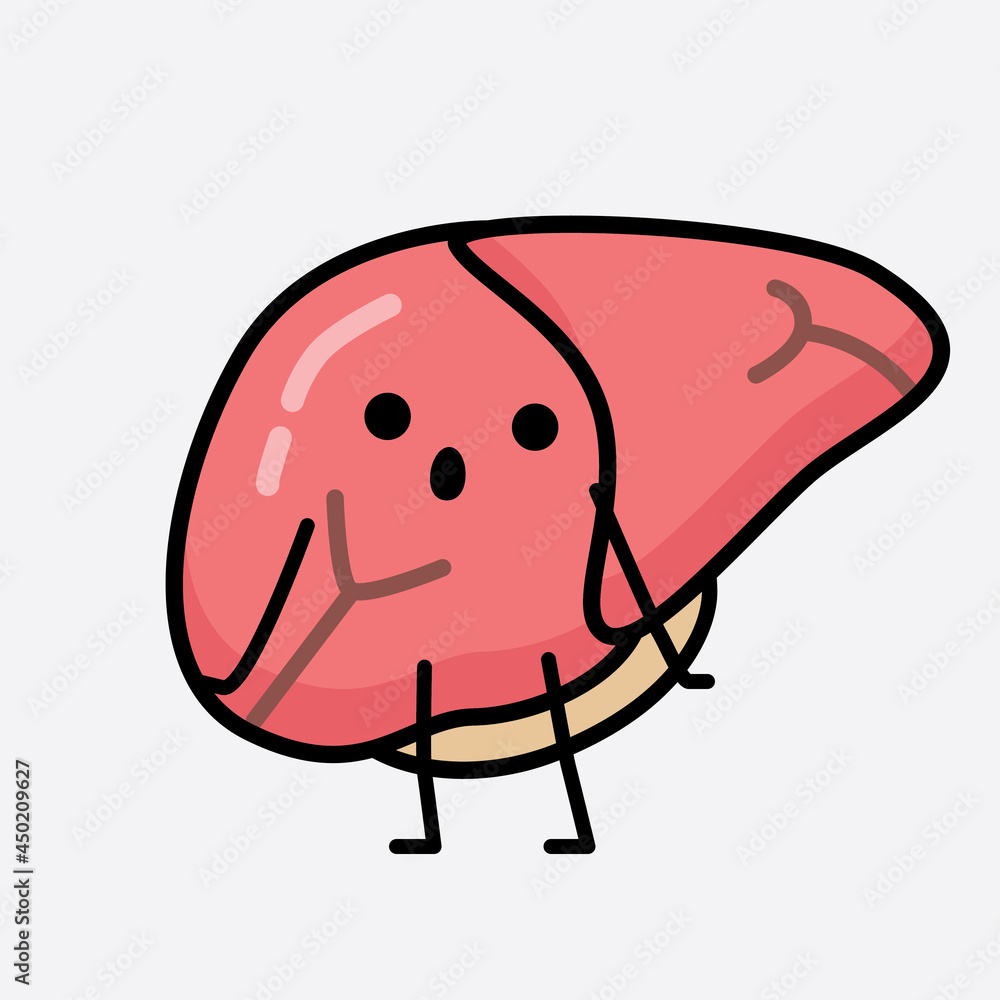 Vector Illustration of Liver Character with cute face and simple body ...