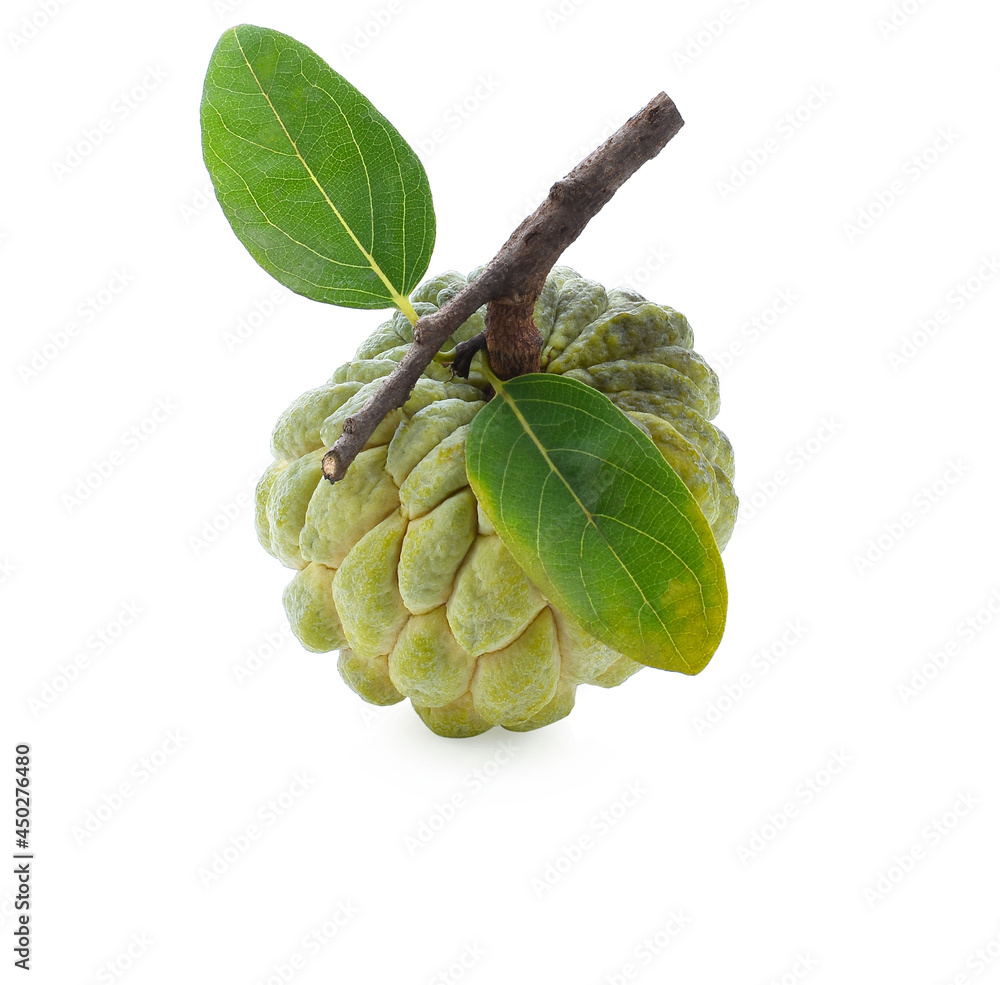 Custard apple and green leaf fresh. Thai annona or cherimoya fruit ...