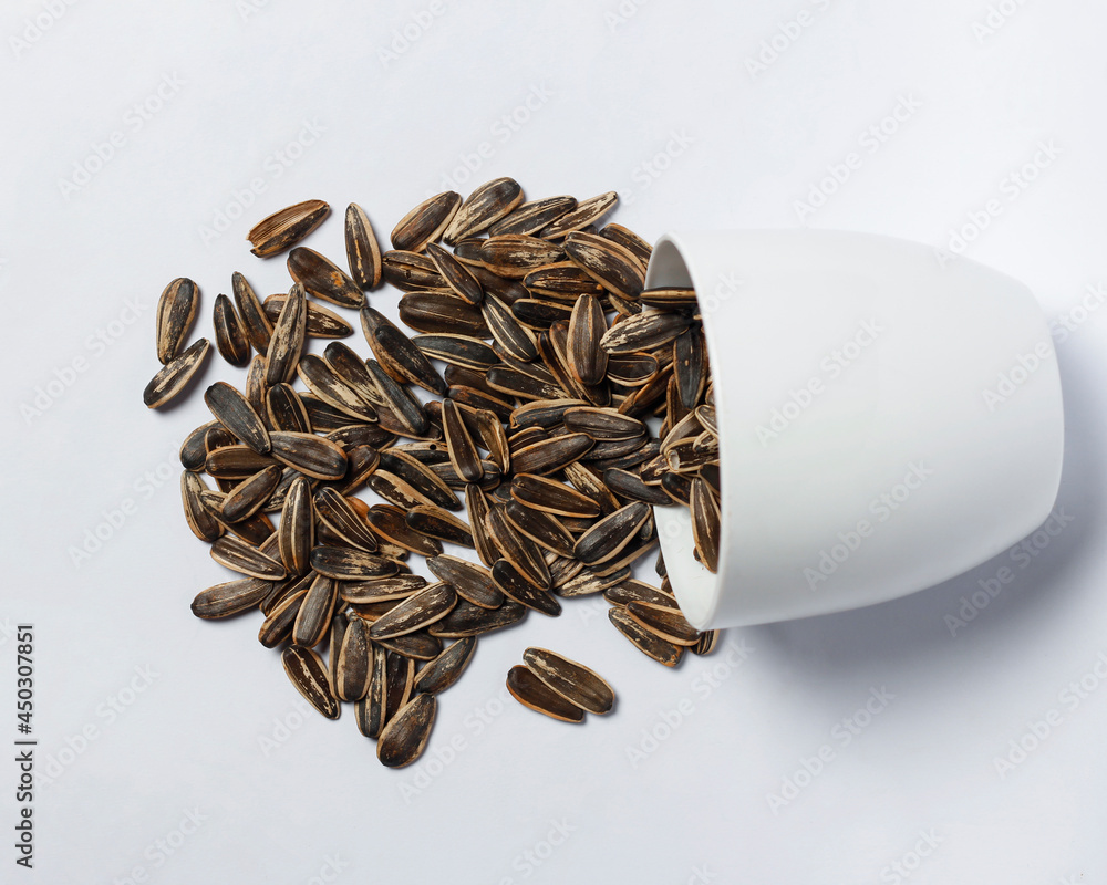 Kuaci made of sun seeds isolated on bright background. How to process ...