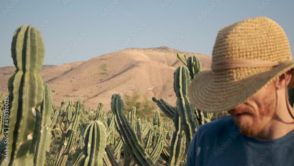 Tough Man in a straw hat standing in a cactus field in the desert ...
