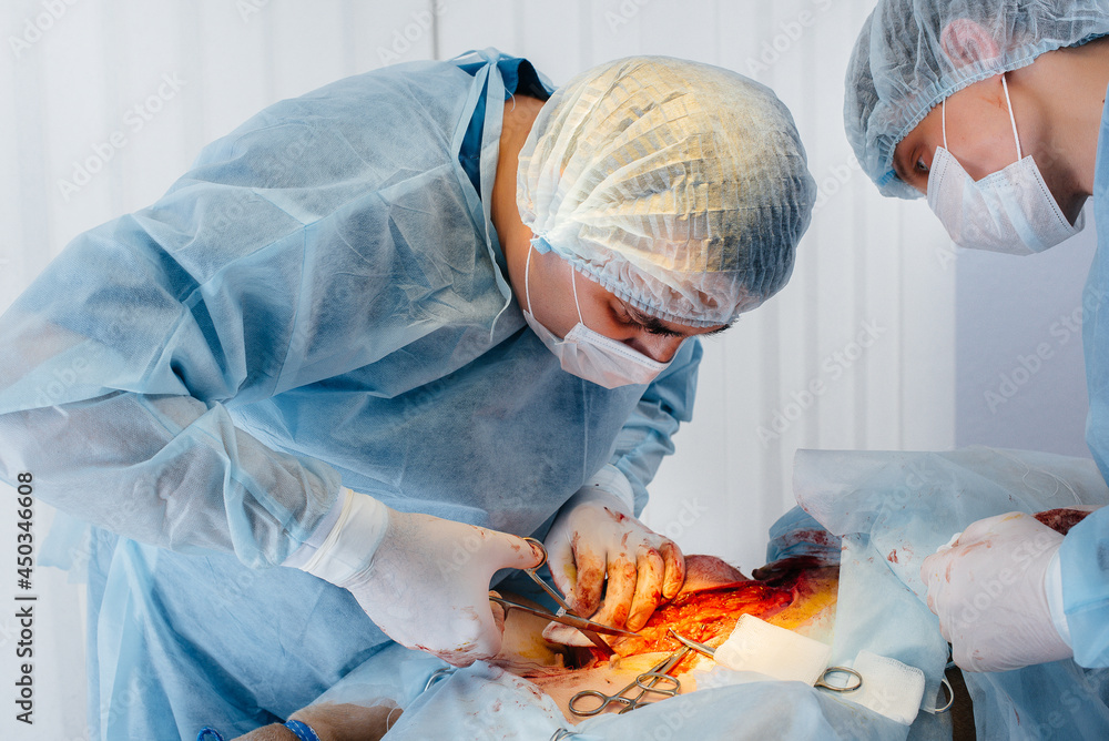 In a modern veterinary clinic, an operation is performed to save the ...