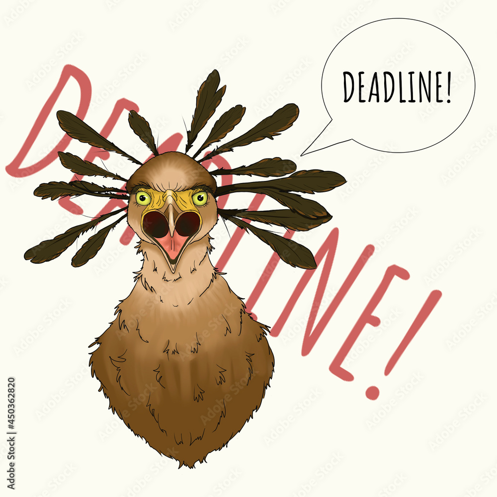 Color illustration with a secretary bird. This picture is well suited ...