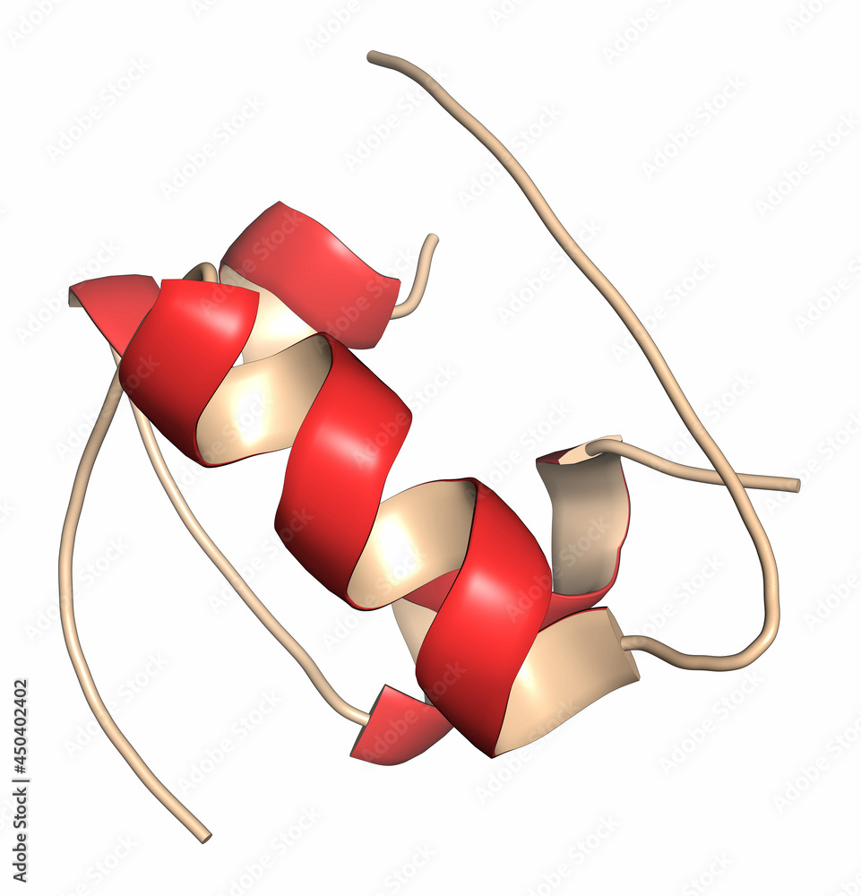 Insulin peptide hormone molecule. Used in treatment of diabetes. Stock ...