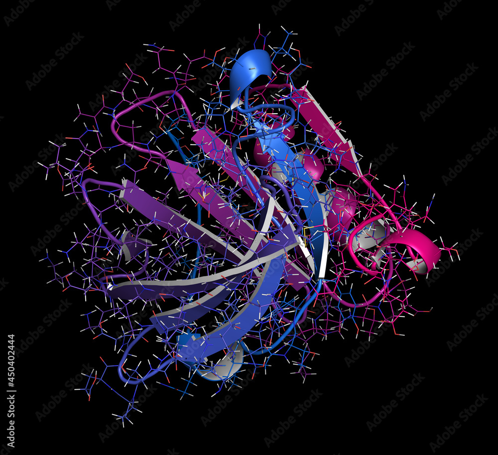 Bovine beta-lactoglobulin protein, 3D structure. Stock Illustration ...