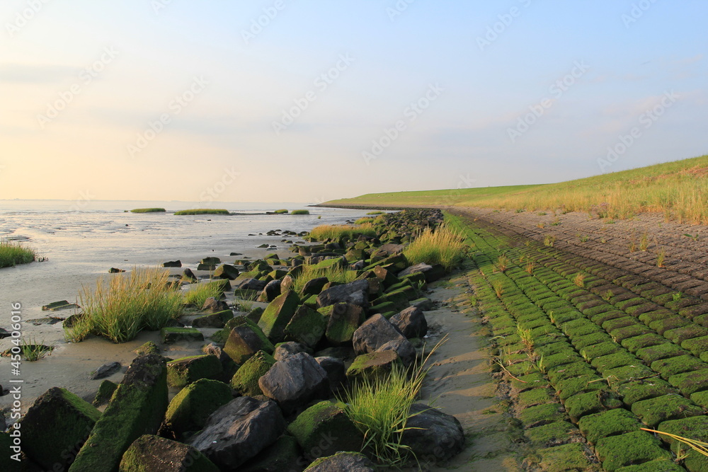 a coast landscape of the westerschelde sea in zeeland, the netherlands ...
